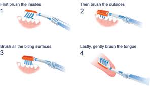 Brushing Technique For Kids